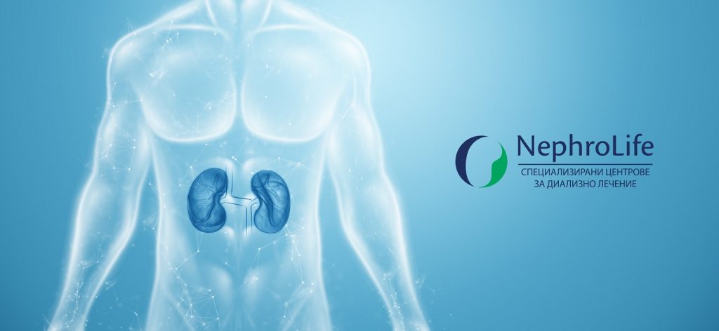 ENDOCRINE FUNCTIONS OF THE KIDNEYS - NephroLife Bulgaria