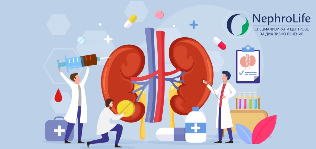 КАКВО ПРЕДСТАВЛЯВА КРЕАТИНИНЪТ? - NephroLife Bulgaria
