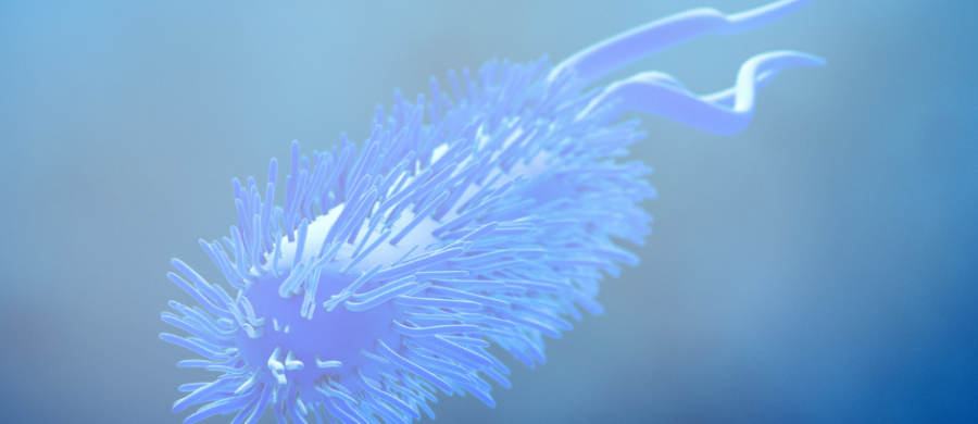 URINARY INFECTIONS - SYMPTOMS, CAUSES AND PREVENTION